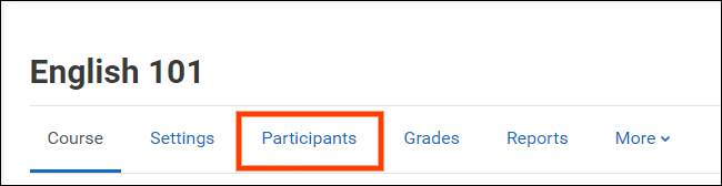 Creating Course Groups in Engage