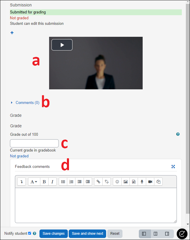Grading an Assignment with Video Submissions