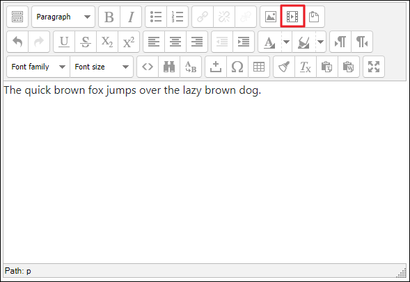 TinyMCE Text Editor Legacy